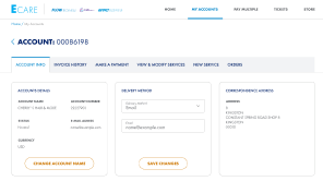 Ecare | Flow Business